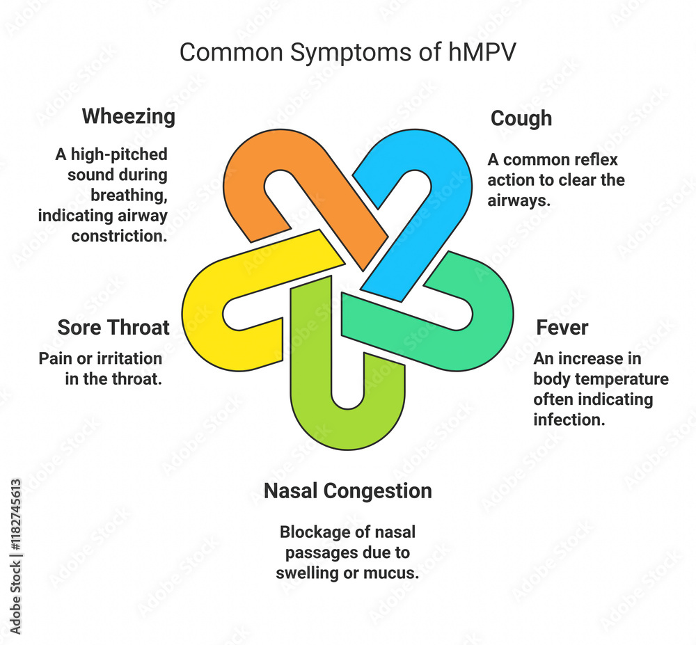 Common Symptoms of Human Metapneumovirus (hMPV) Infection Illustrated ...