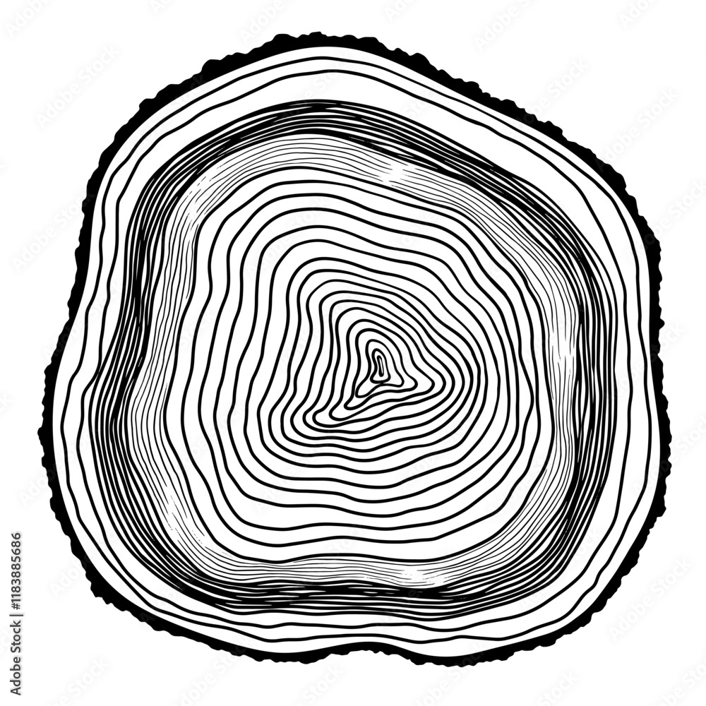 Linear tree rings texture. Tree stump print isolated on white ...