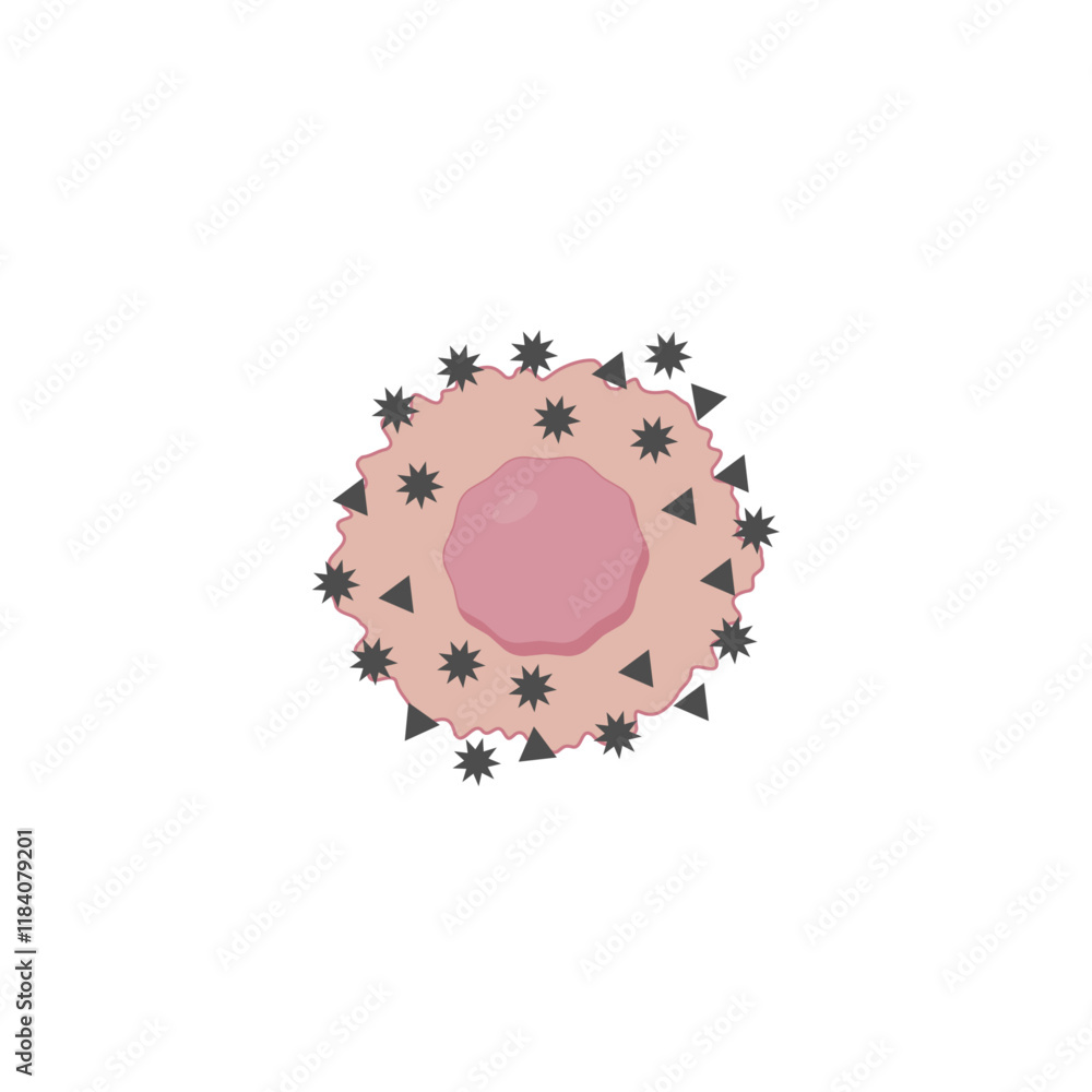 Oxidative stress. Free radicals cause oxidation of the cellular ...