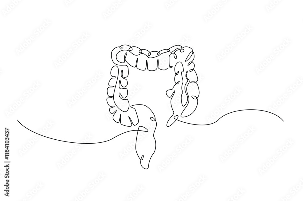 Human organ digestive in continuous one line drawing. Editable vector ...