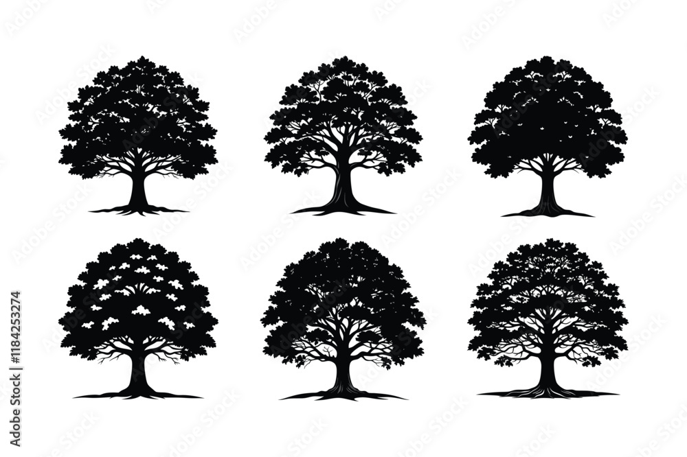 Major Oak (Quercus robur) silhouette vector illustration Stock Vector ...