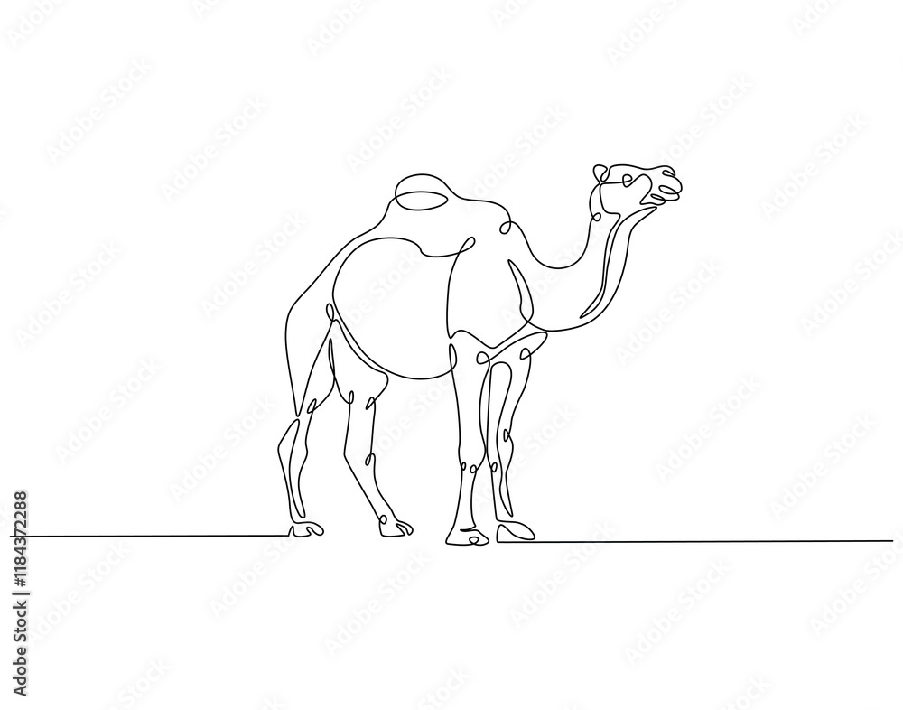 Continuous line drawing of camel. Single line illustration of arabian ...