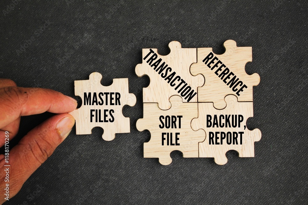 What are the 5 types of computer files? Types of Computer Processing ...