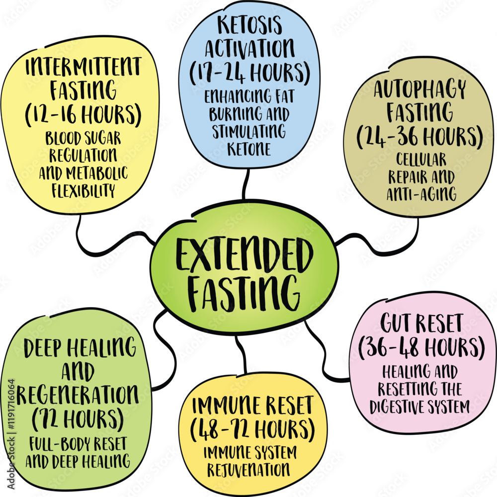 Extended fasting - stages and health benefits. Mind map infographics ...