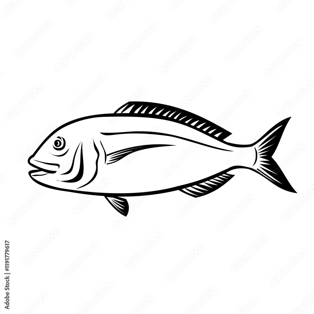 Retro style illustration of an Akashi sea bream, a red variety of sea ...