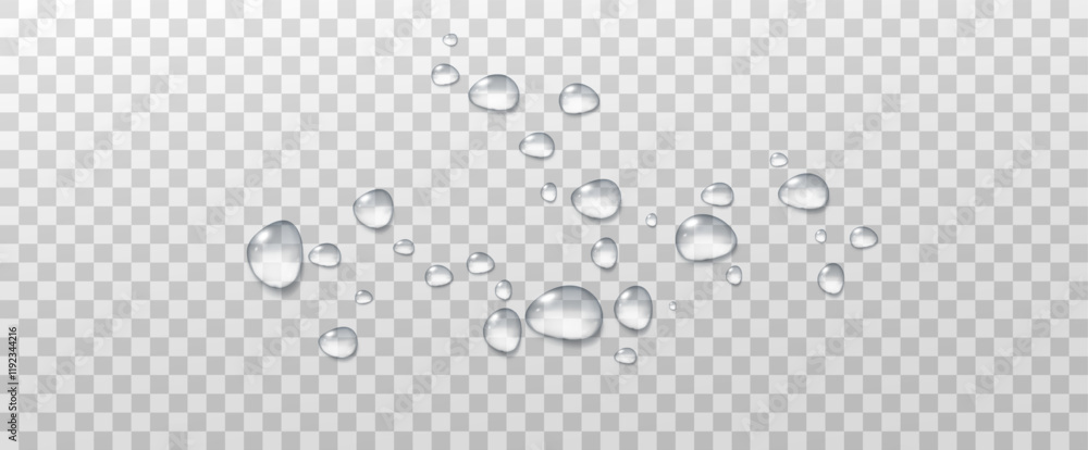 Realistic vector water drops png on a transparent light background. Water condensation on the ...