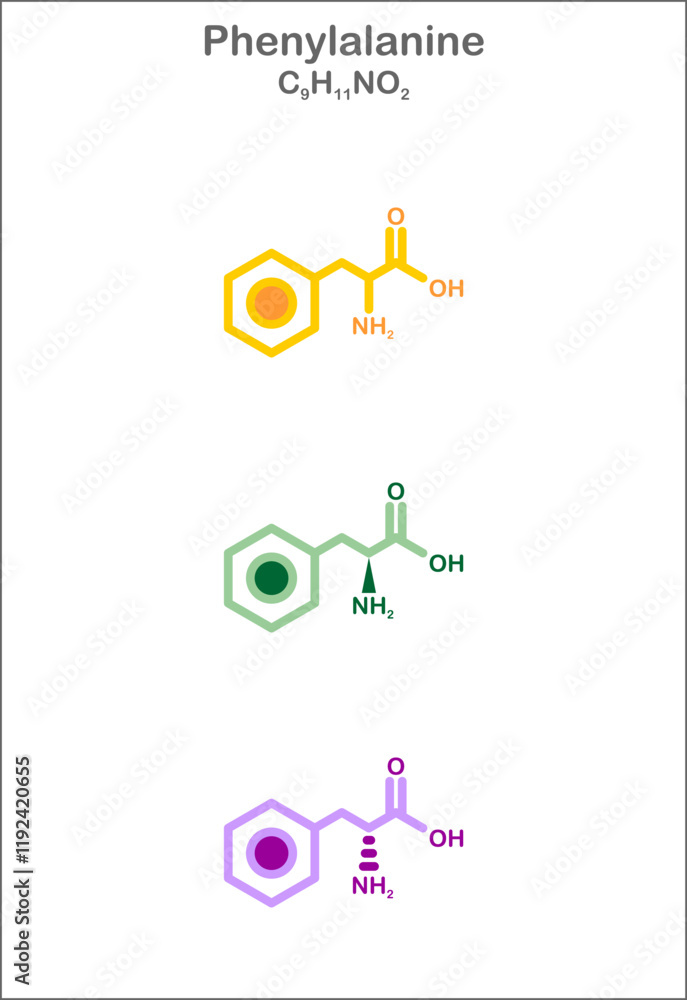Phenylalanine. Stylized structural formulas. Display of the unspecific ...