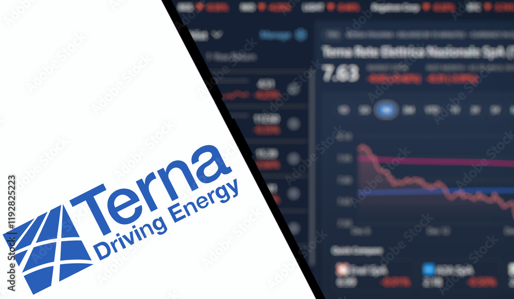 Dhaka, Bangladesh- 8 Jan 2025: Terna driving energy logo is displayed ...