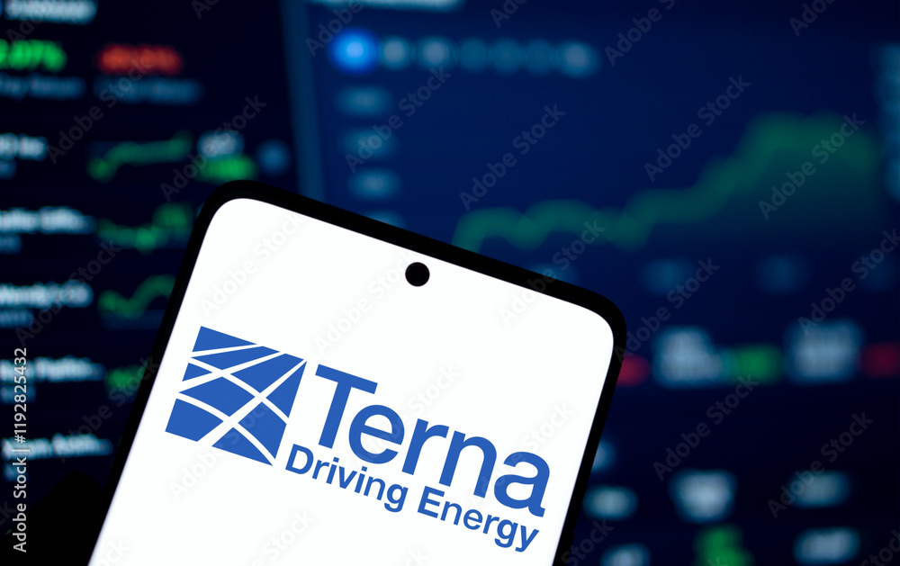 Dhaka, Bangladesh- 8 Jan 2025: Terna driving energy logo is displayed ...