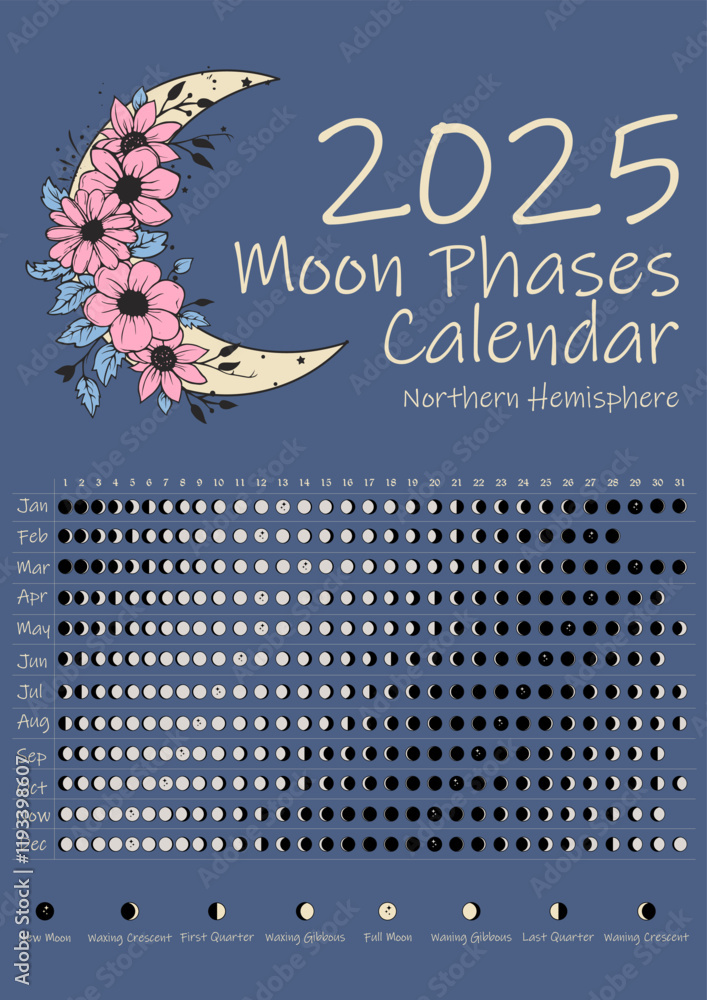 Vector de Stock Beautiful 2025 Moon Phases Calendar. Northern ...