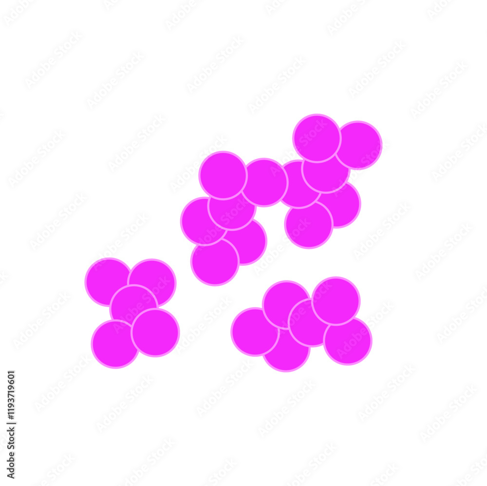 Coccus Bacteria. Coccus morphology. Microbiology. Spherical shapes ...