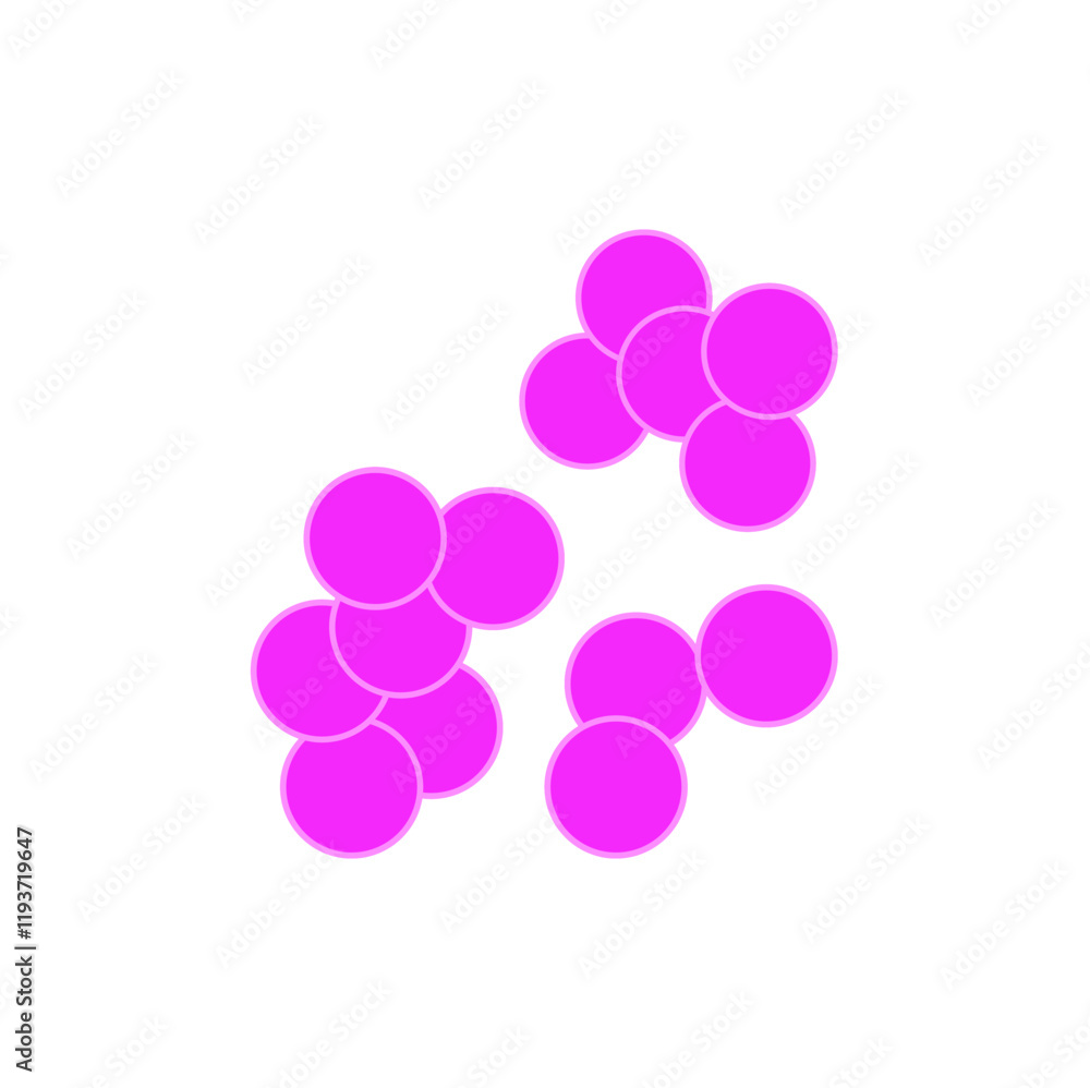 Coccus Bacteria. Coccus morphology. Microbiology. Spherical shapes ...