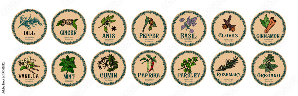 Vector set of spices food labels with herbs sketches, pepper, basil ...