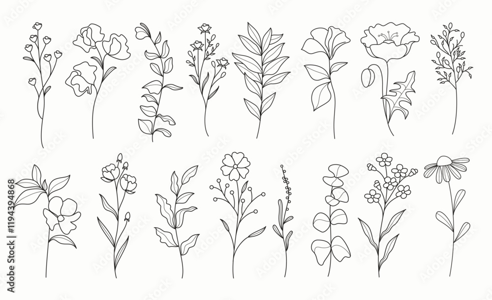 Flower outline floral clipart set. Spring flowers drawing lines in ...
