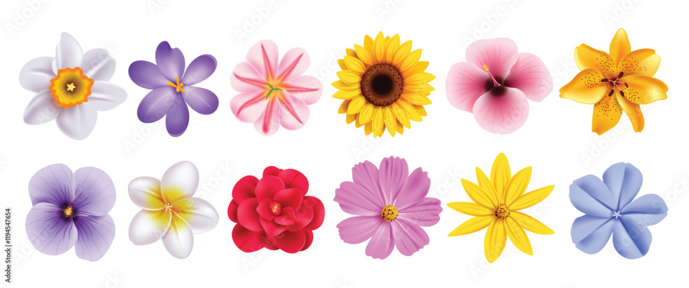 Flowers spring drawing clipart set. Spring flower in colorful ...