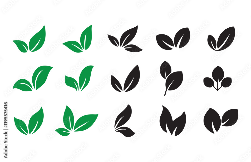 Plant vector collection, diverse leaf shapes, natural elements. Leaf ...