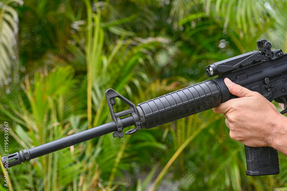 Hand holding a rifle - M16/AR15. Stock Photo | Adobe Stock