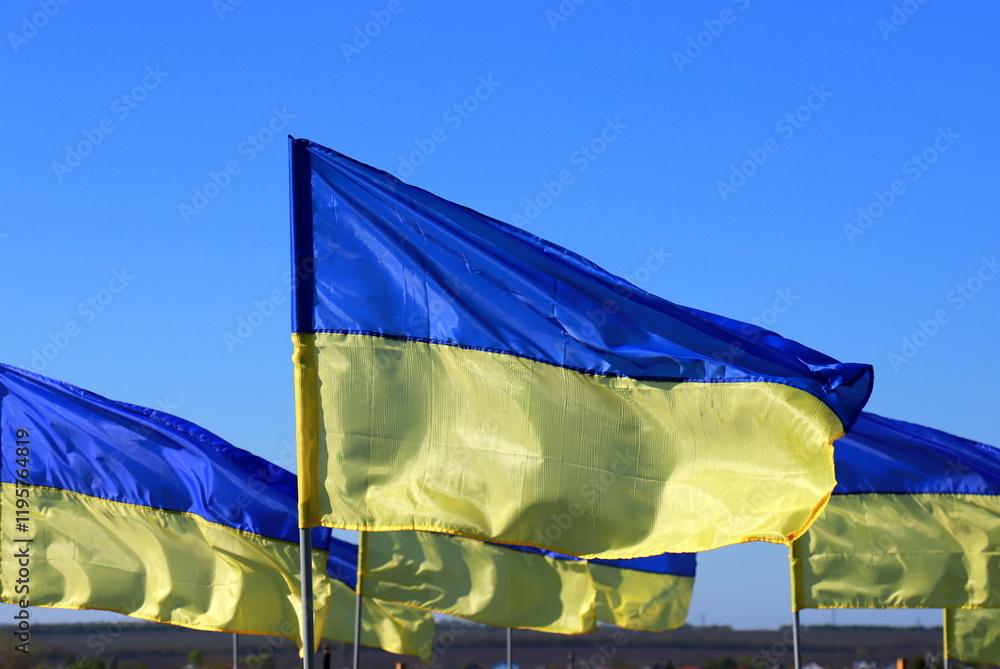 Many state flags of Ukraine are flying in wind. Concept of heroic ...