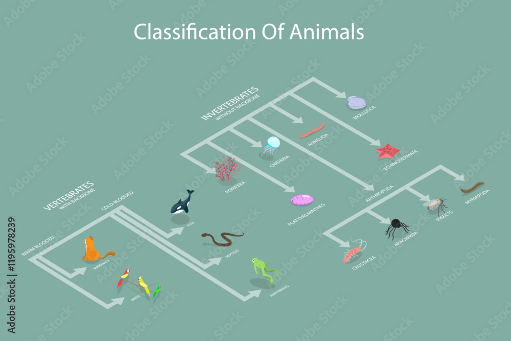 3D Isometric Flat Vector Illustration of Animal Classification System ...