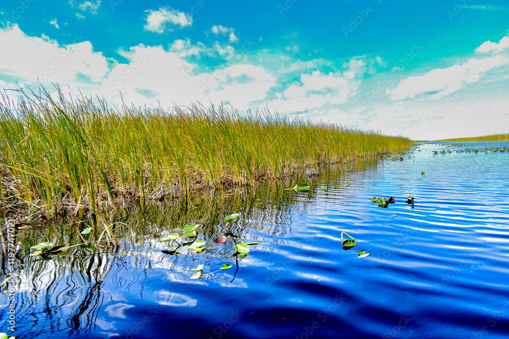 Everglades national park a water highway landscape bordered with ...