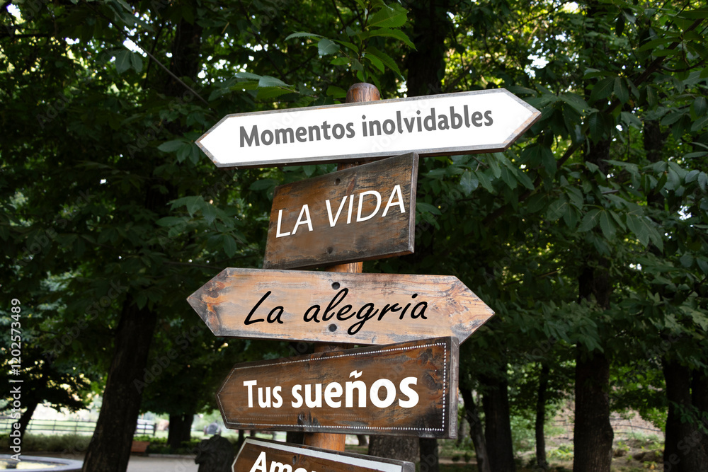 letreros de madera con señaletica y mensajes positivos en medio de los ...