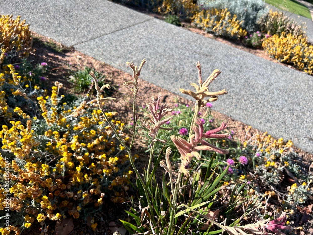 Perth, the capital of Western Australia, is known for its sunny weather ...