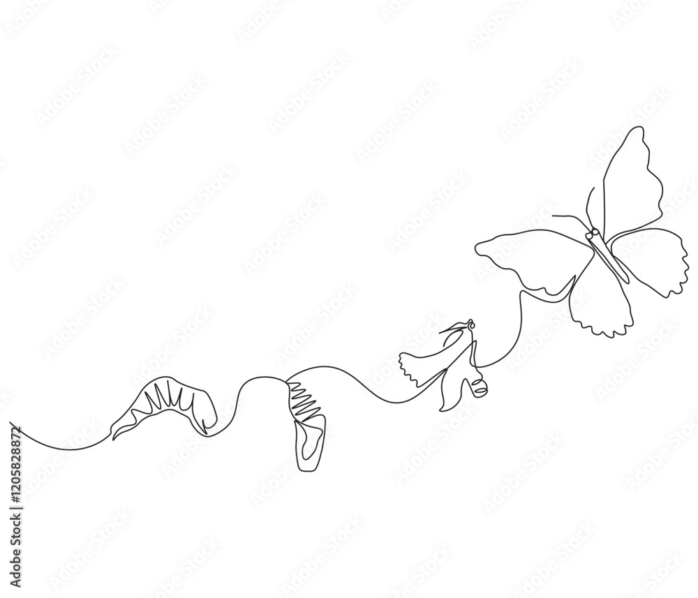 Continuous one line drawing of butterfly life cycle . Single line ...