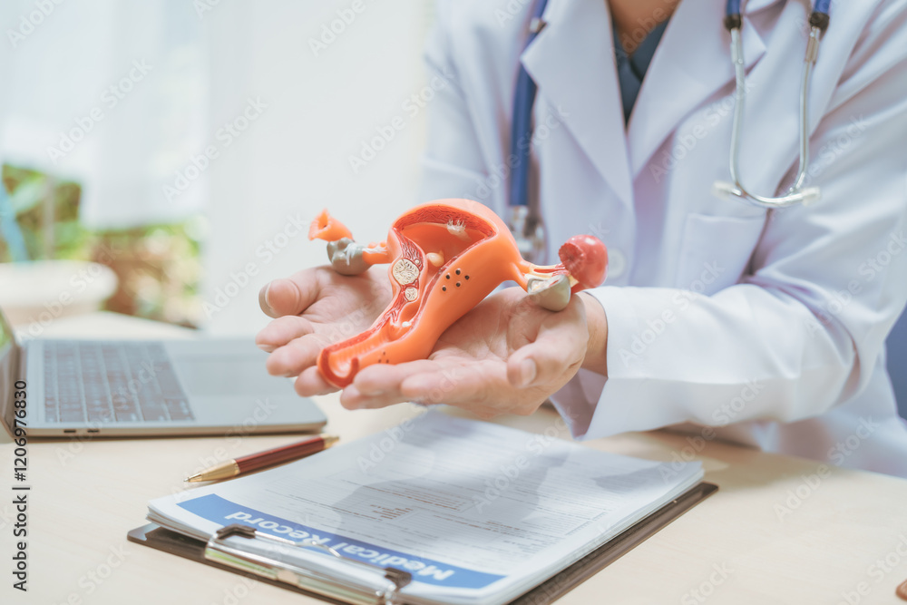 Male doctor treating female uterine diseases at hospital table ...