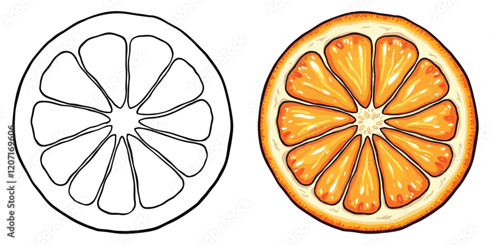 Orange Line Art Vector Illustration Black and White with Coloring ...