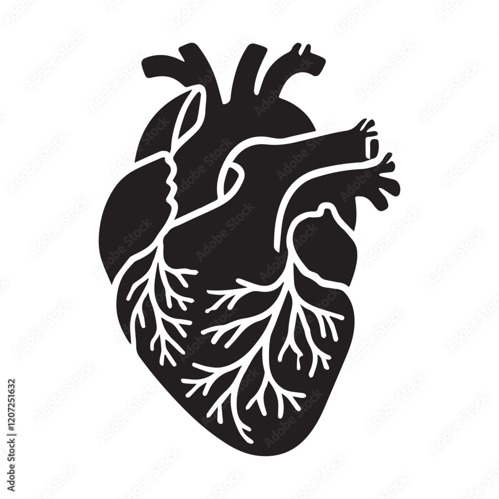anatomical heart vector clip art flat design. Stock Vector | Adobe Stock