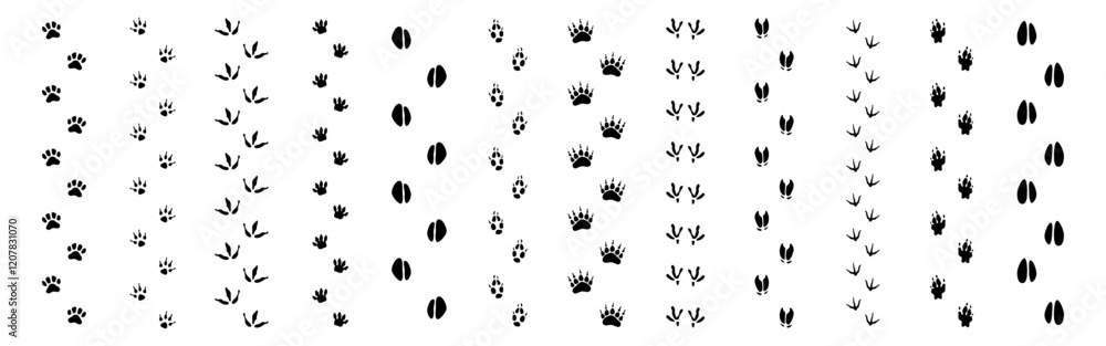 Wildlife beasts footprints trails. Vector lines of animals footmarks ...