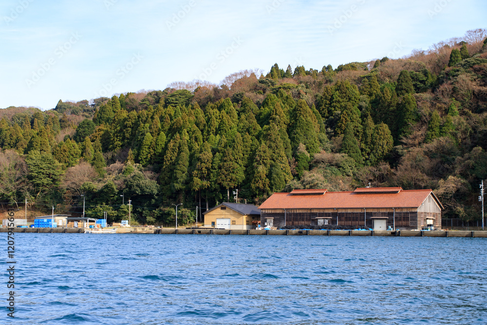 Rural Japanese Waterfront with Traditional Buildings and Forest, Ine ...