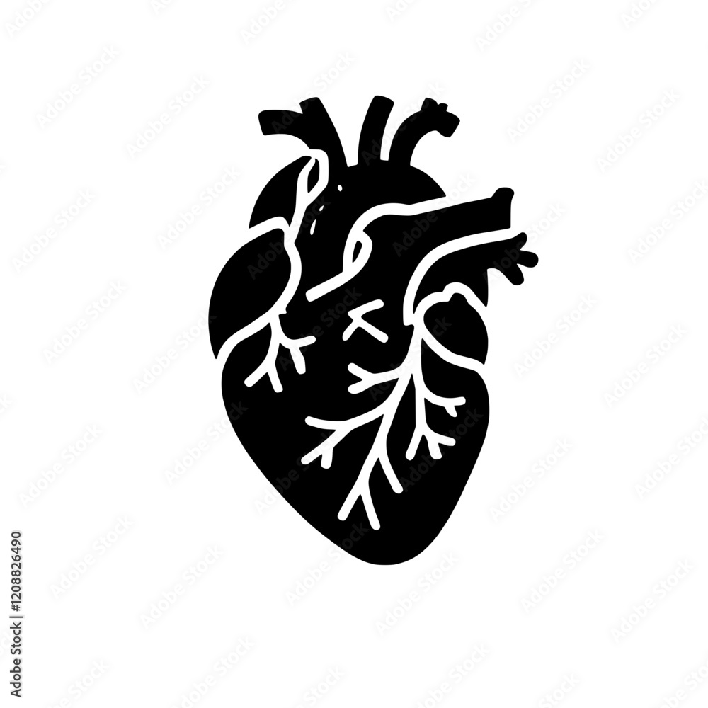 Anatomical Heart Silhouette: A striking silhouette of the human heart ...