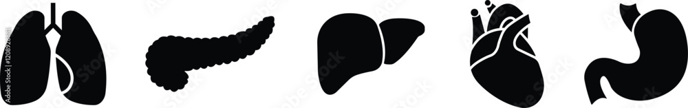 Human Organs Hand Drawn flat Icon Set Organs Vector for apps, web sign ...