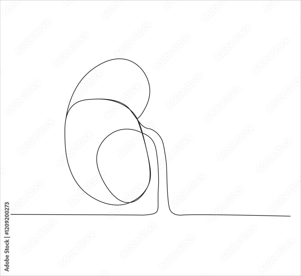 One continuous line drawing of human kidney organ anatomy. single line ...