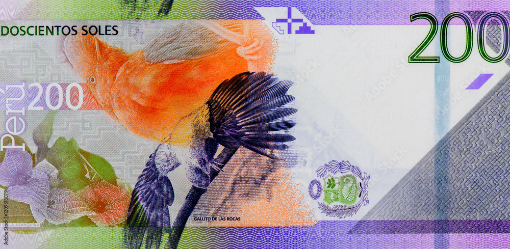 shows a flor bella abanquina (Dalechampia aristolochiifolia) and a ...