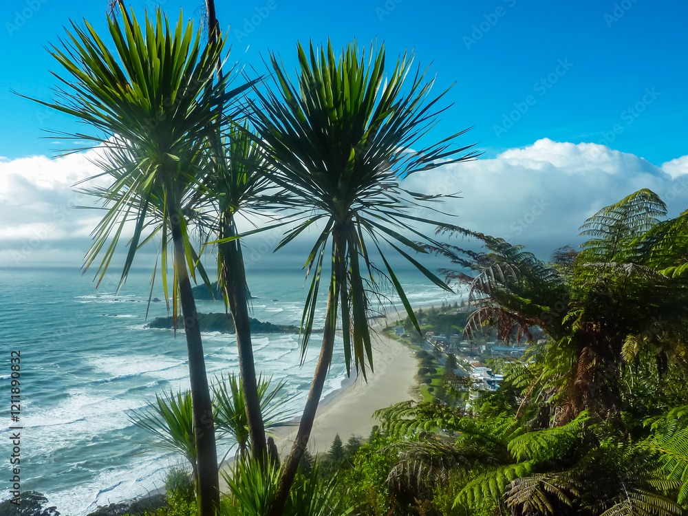 Tall tropical palm trees frame coastal view in Tauranga, Bay of Plenty ...