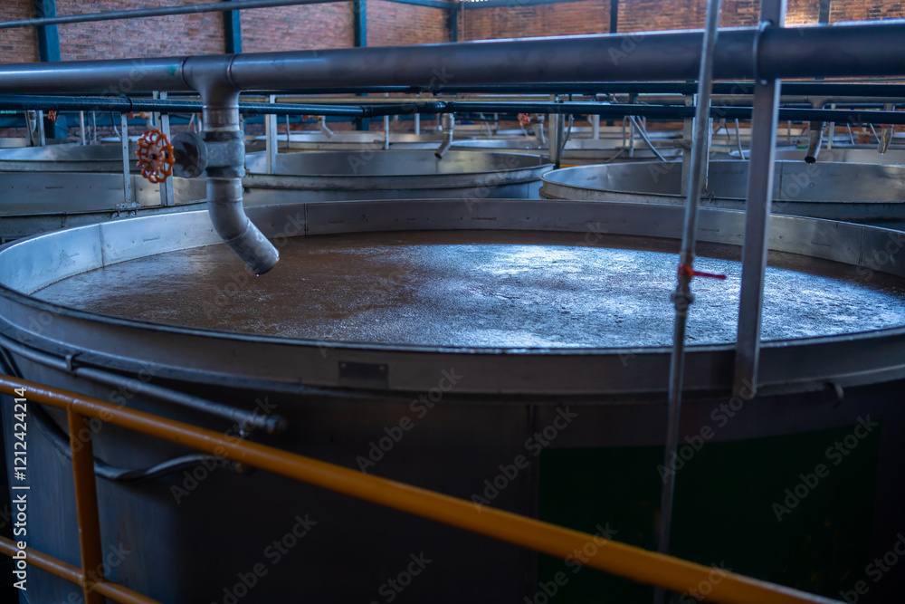 Los jugos de agave están fermentando en los tanques de fermentación en ...