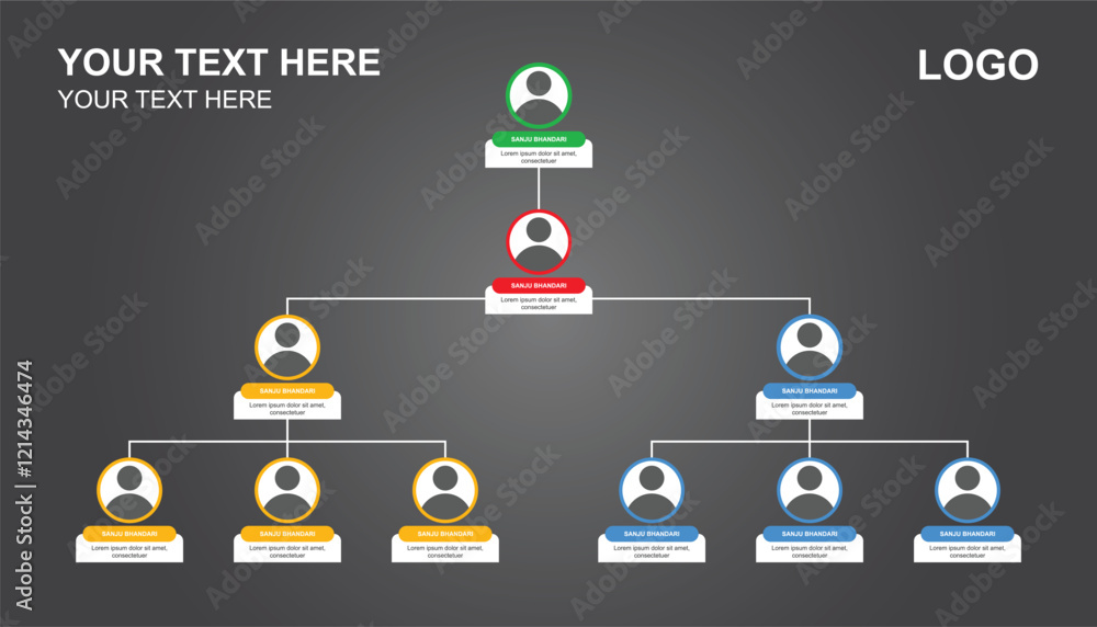 Business team tree. business hierarchy organogram chart infographics ...