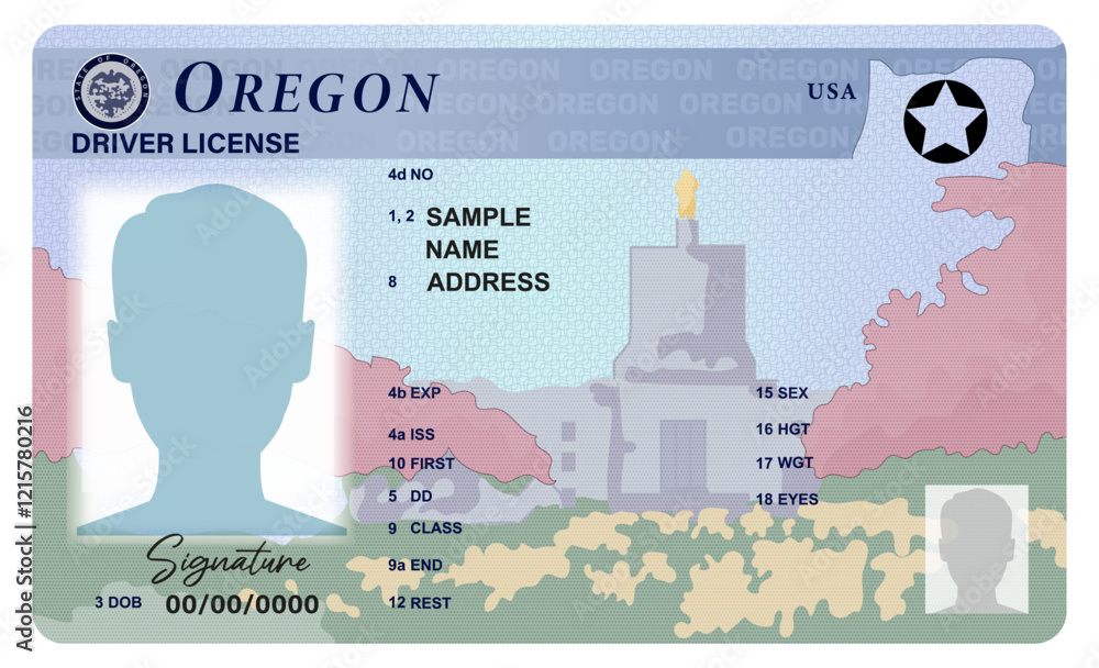 Oregon driver's license isolated on white background. Person State ...