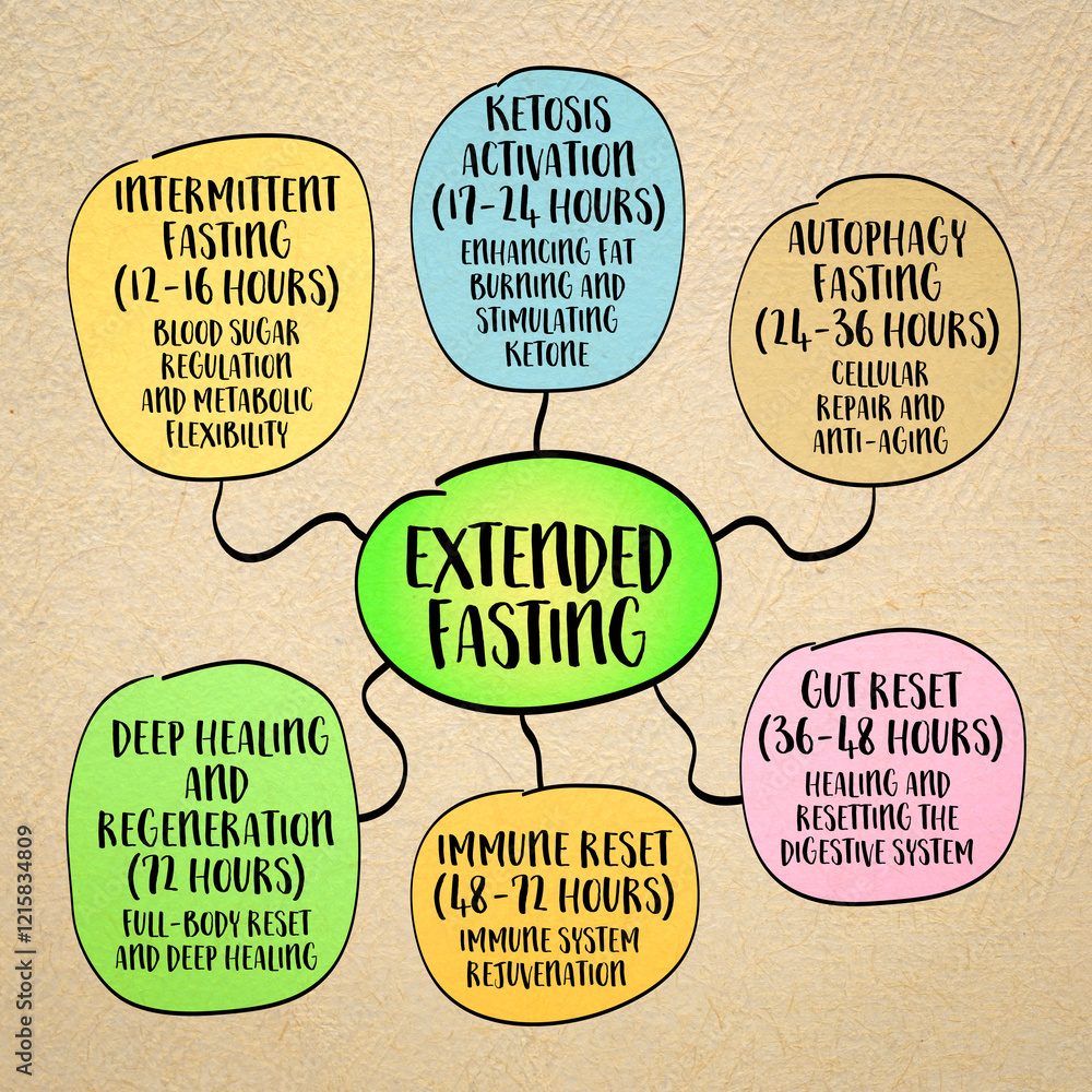 Extended fasting - stages and health benefits. Mind map infographics ...