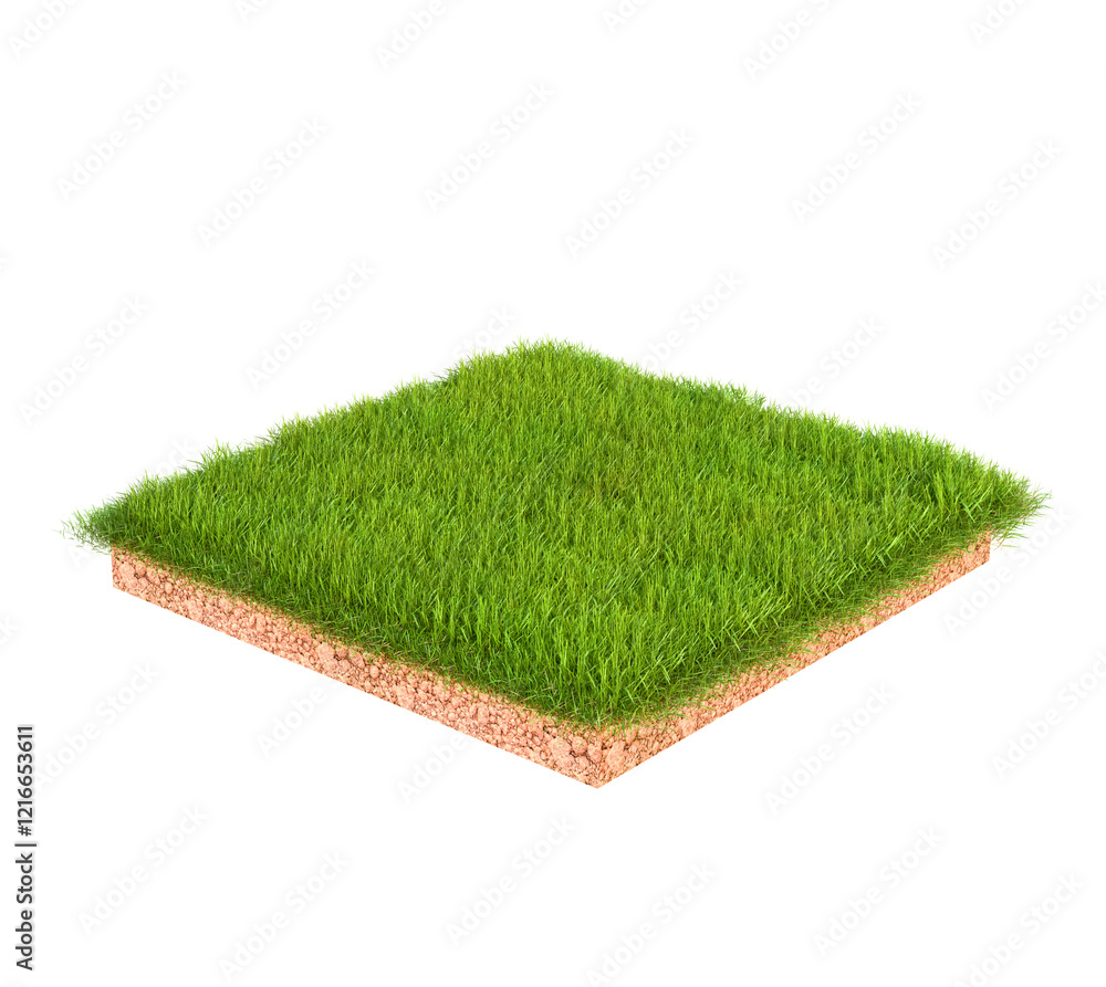 Square of green grass field soil PNG 3D Render Stock Illustration ...