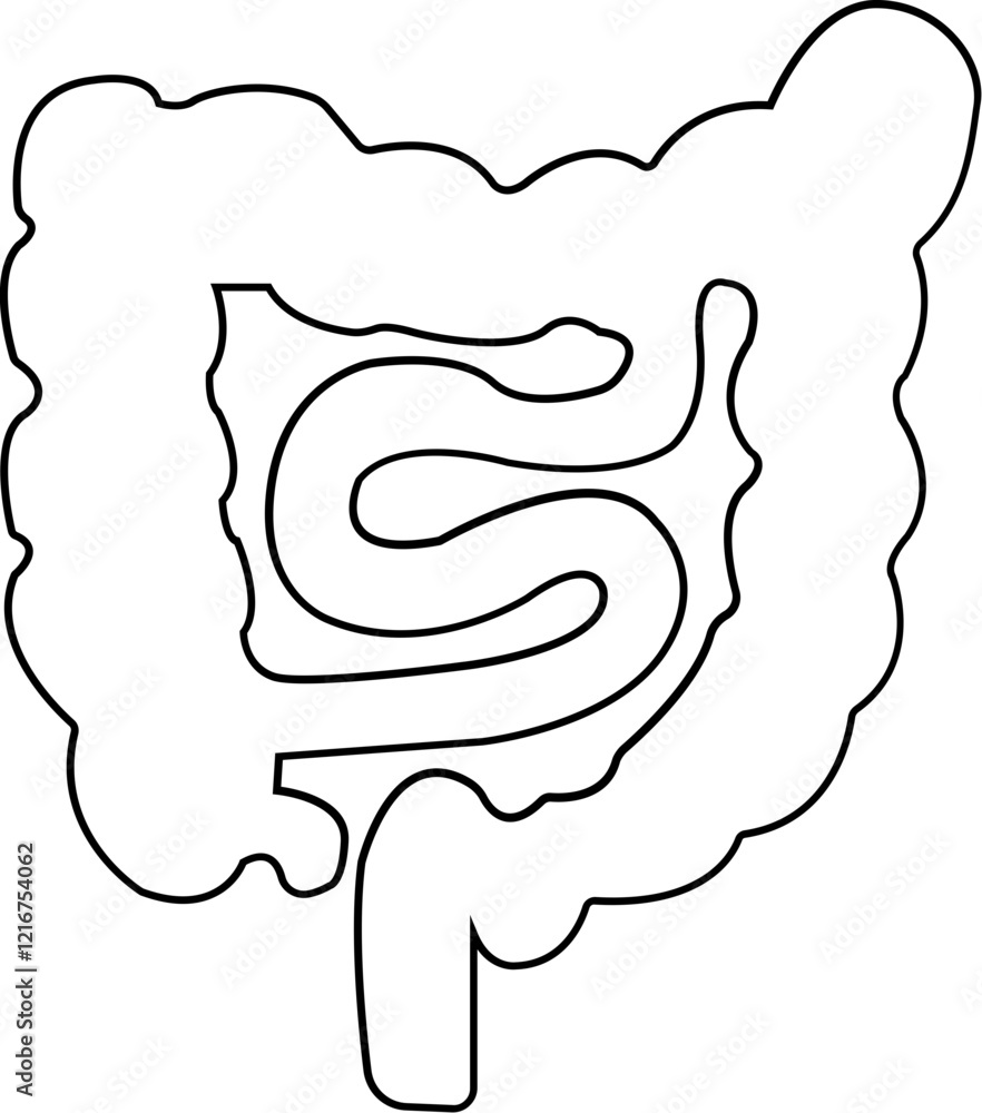 Human intestine line icon. Gastric organ, digestive intestine ...