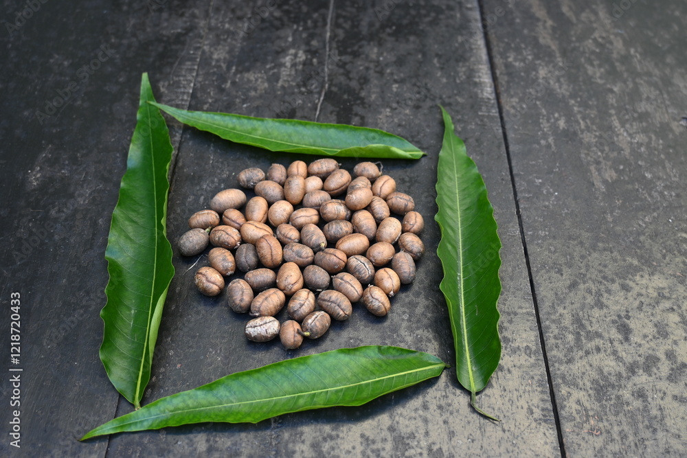 Polyalthia longifolia seeds. The Ashoka tree is native to India. A ...