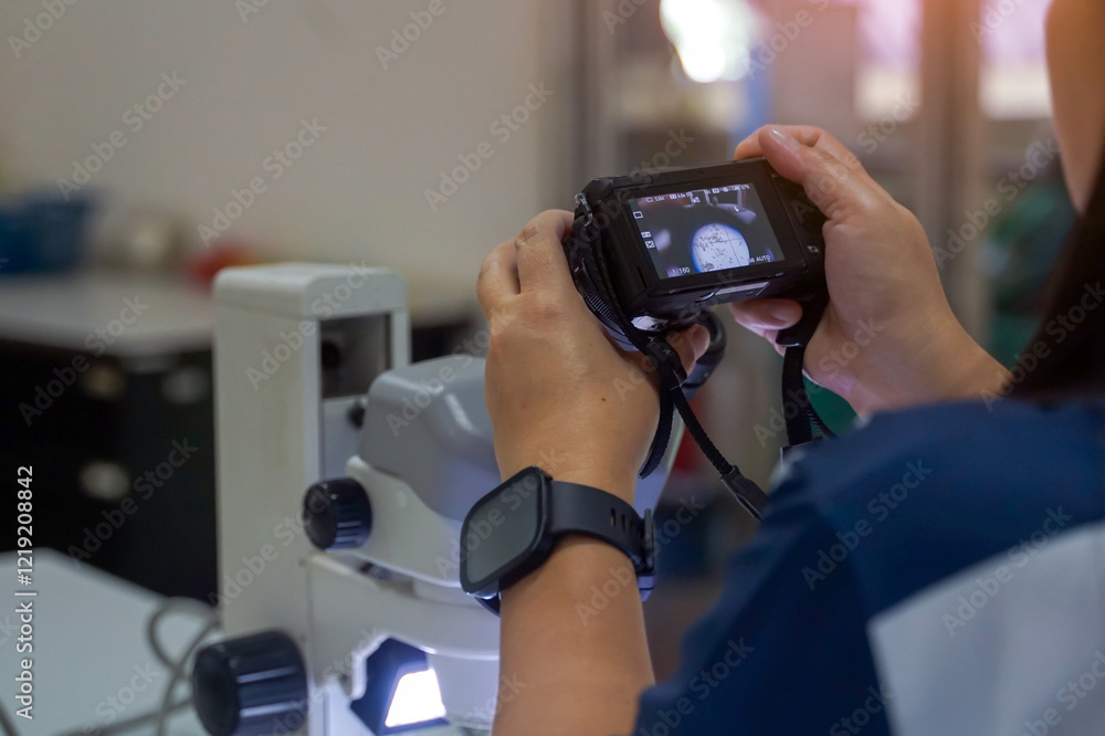 Researchers took pictures through a microscope with a cell phone camera ...