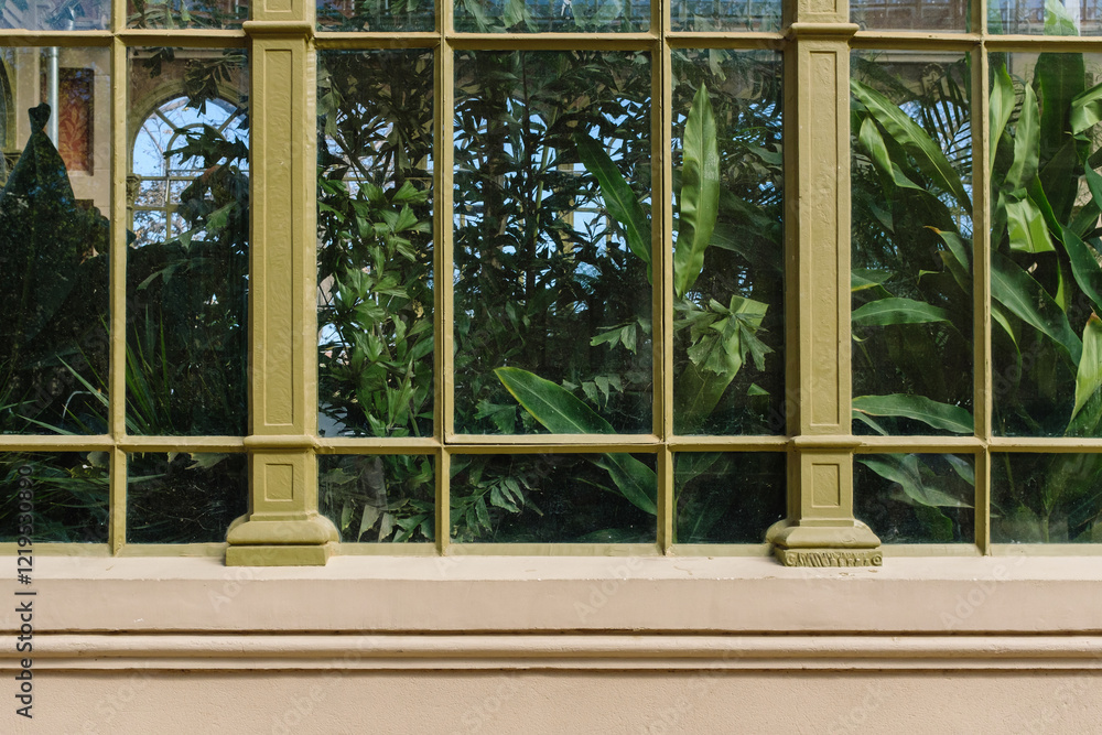 Lush green plants growing behind greenhouse window in botanical garden ...
