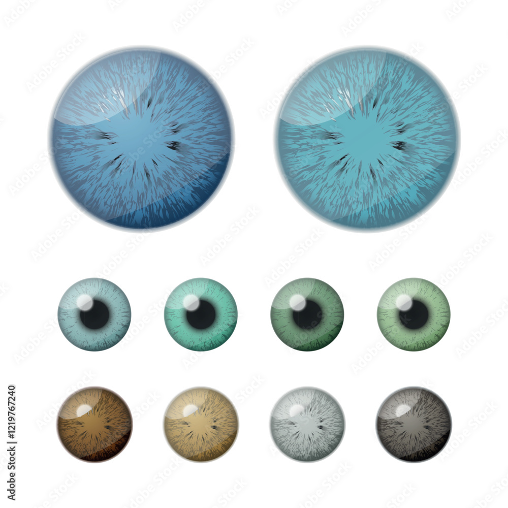 Realistic Vector Isolated Round Eyeballs Set With Various Pupil Colors ...