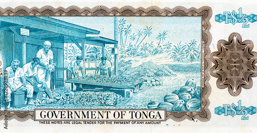 Copra production Portrait from Tonga 1/2 Pa'anga 1983 Banknotes. Stock ...