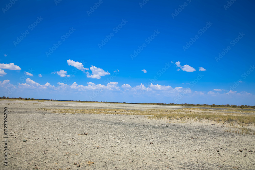 Spectacular view of the Makgadikgadi Nxai salt pan. Largest salt pan in the world. Fascinating ...
