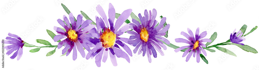 Purple daisy flower border frame wreath watercolor floral illustration ...